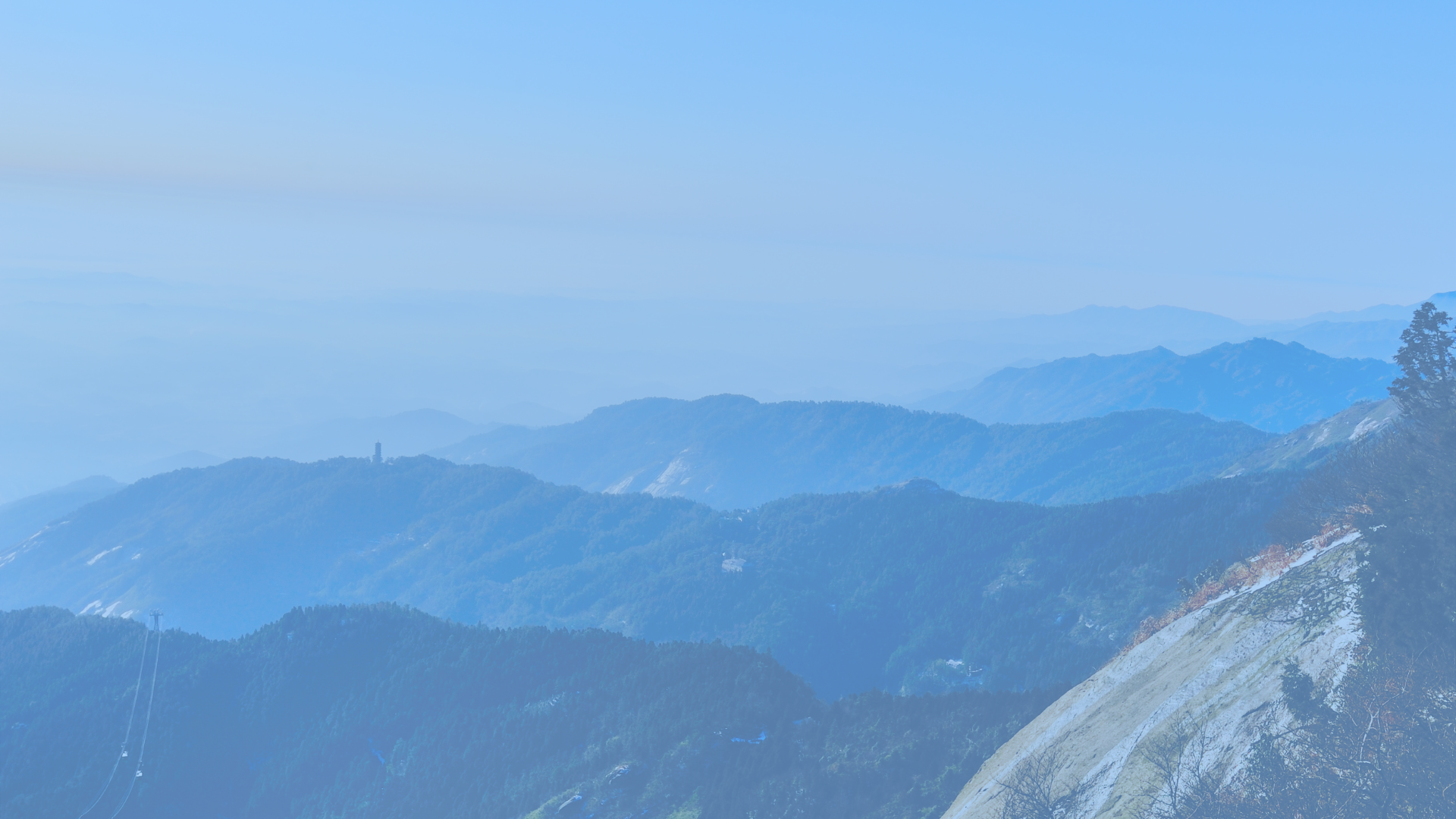 Canoe White Paper: How Workflow Automation & Strategic Change ...